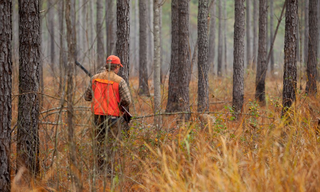 The Fork Farm & Stables - Field Sport Concepts LTD.Field Sport Concepts ...